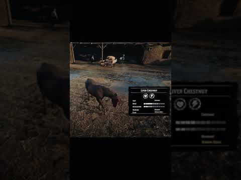 Steam Community :: Video :: RDR2 • All Morgan Horse Colors and ...