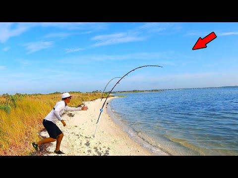 Craziest Beach Fishing Morning of the Year!
