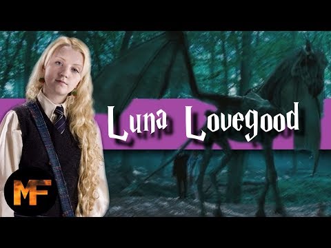 HP cast reacts to... - The Life of Luna Lovegood Explained - Wattpad