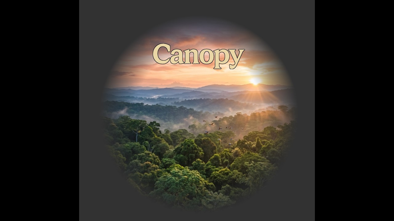 Canopy: A native macOS app for parallel Claude Code sessions with git worktrees