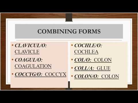 Medical Terminology Beginning with C Pt 2
