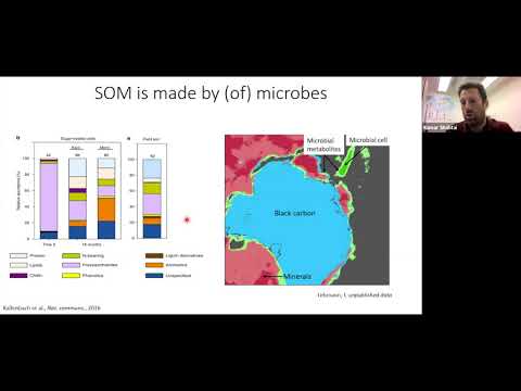 Itamar Shabtai: Soil abiotic conditions mediate the transformation of plant litter & root exudates