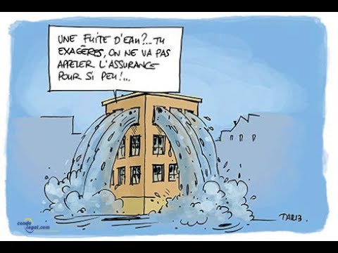 Webradio du 18 novembre 2020: L'article 1074.2 du Code civil du Québec