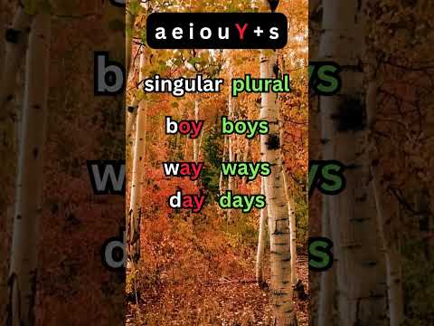 a e i o u Y + s (singular to plural) #grammarcourse