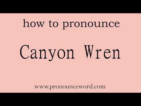 Canyon Wren. How to pronounce the english word Canyon Wren .Start with C. Learn from me.