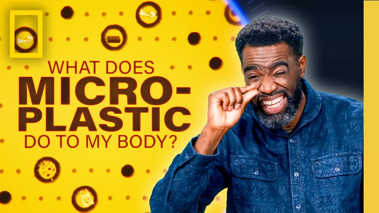 What Do Microplastics Do To My Body? | National Geographic
