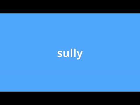 what is the meaning of sully