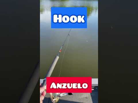 Fishing Vocabulary in English and Spanish #englishvocabulary #spanishvocabulary
