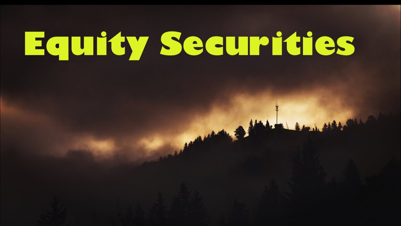 Equity Securities