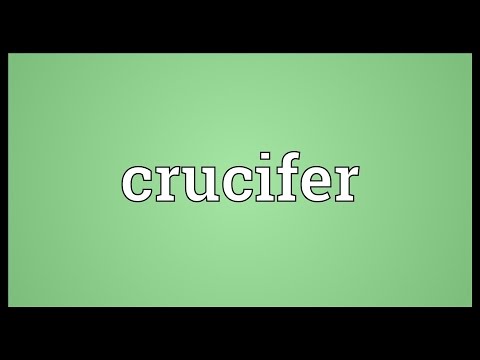 Crucifer Meaning