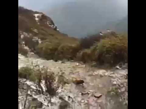 Have you ever seen Mountain?