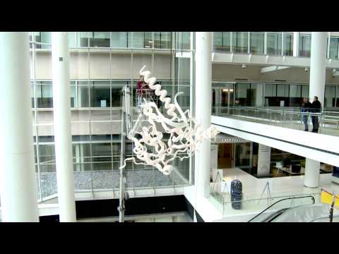 Homologous Hope: Basser Research Center for BRCA