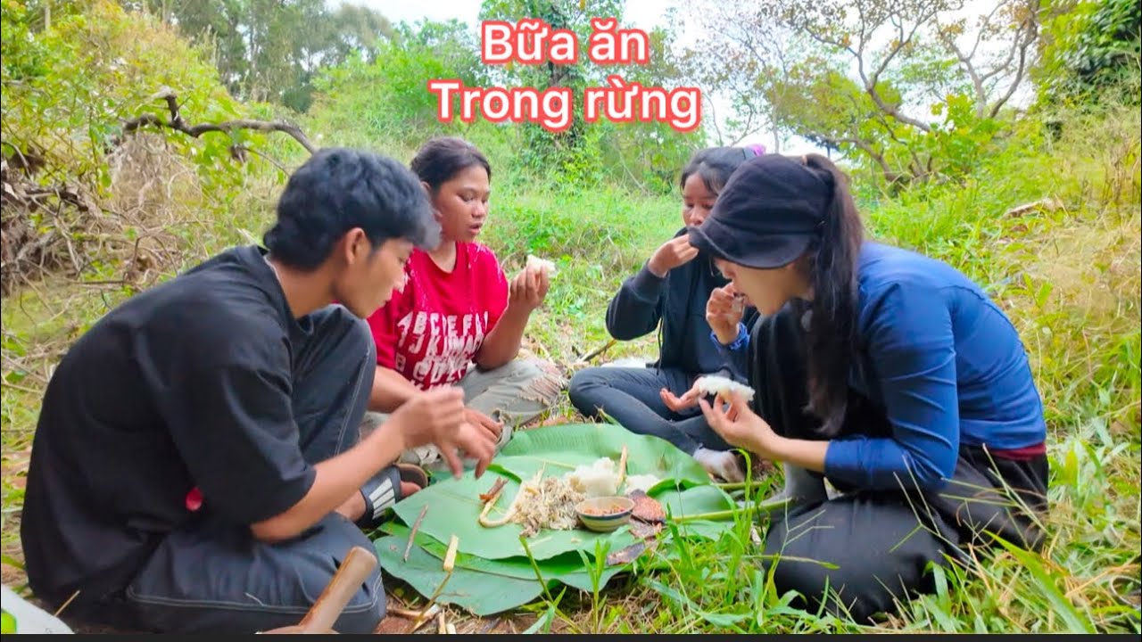 Một Ngày Vào Rừng Tìm Đọt May Cùng Dân Như Thế Nào 