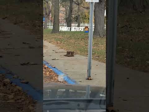 ONLY IN FLINT #shortsvideo #flint #ihateithere