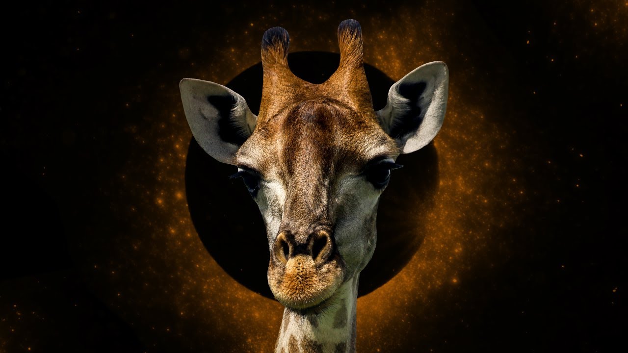 Premiere - Conf42 DevOps 2023