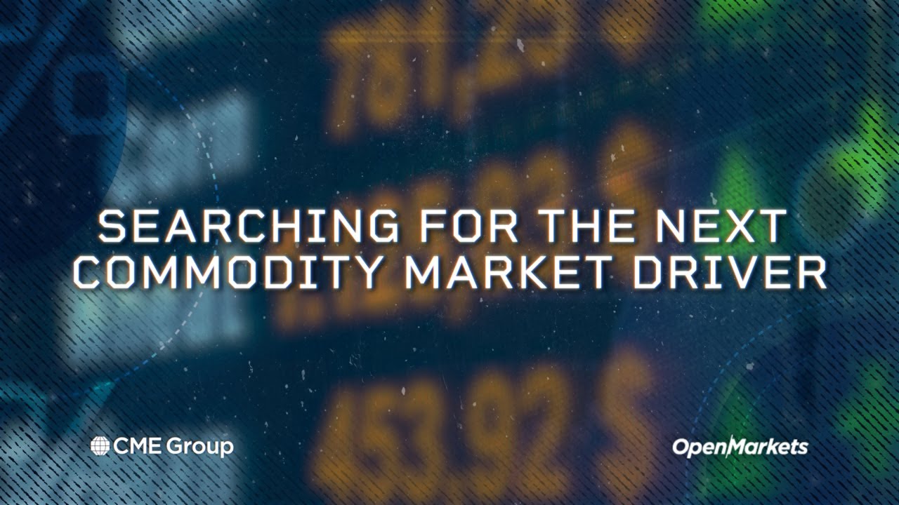 Economist Perspective: Searching for the Next Commodity Market Driver