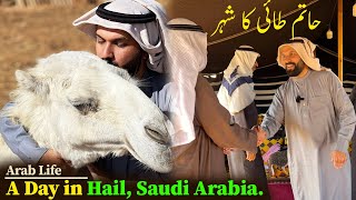 10 Things to Do in Al-Hail Camel Market, Hail Saudi Arabia | Gems.Travel