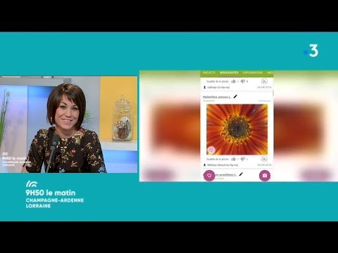 Identifier les plantes avec l'application PlantNet !