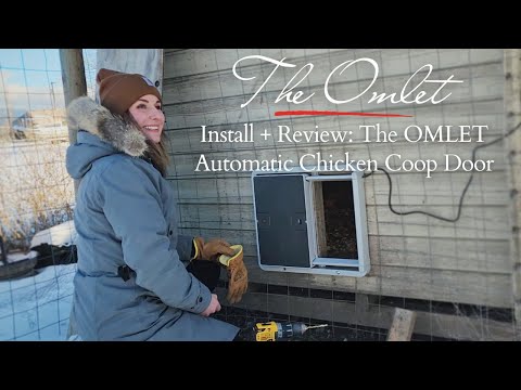 Automatic Chicken Coop Door | The OMLET!!