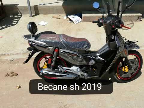 Becane sh 2019