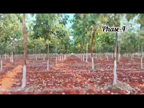 532 sq yard s 450000 Rs 1064 sq yards 845000 RS 4840 sq yards 32 lakh 1600 acers sold
