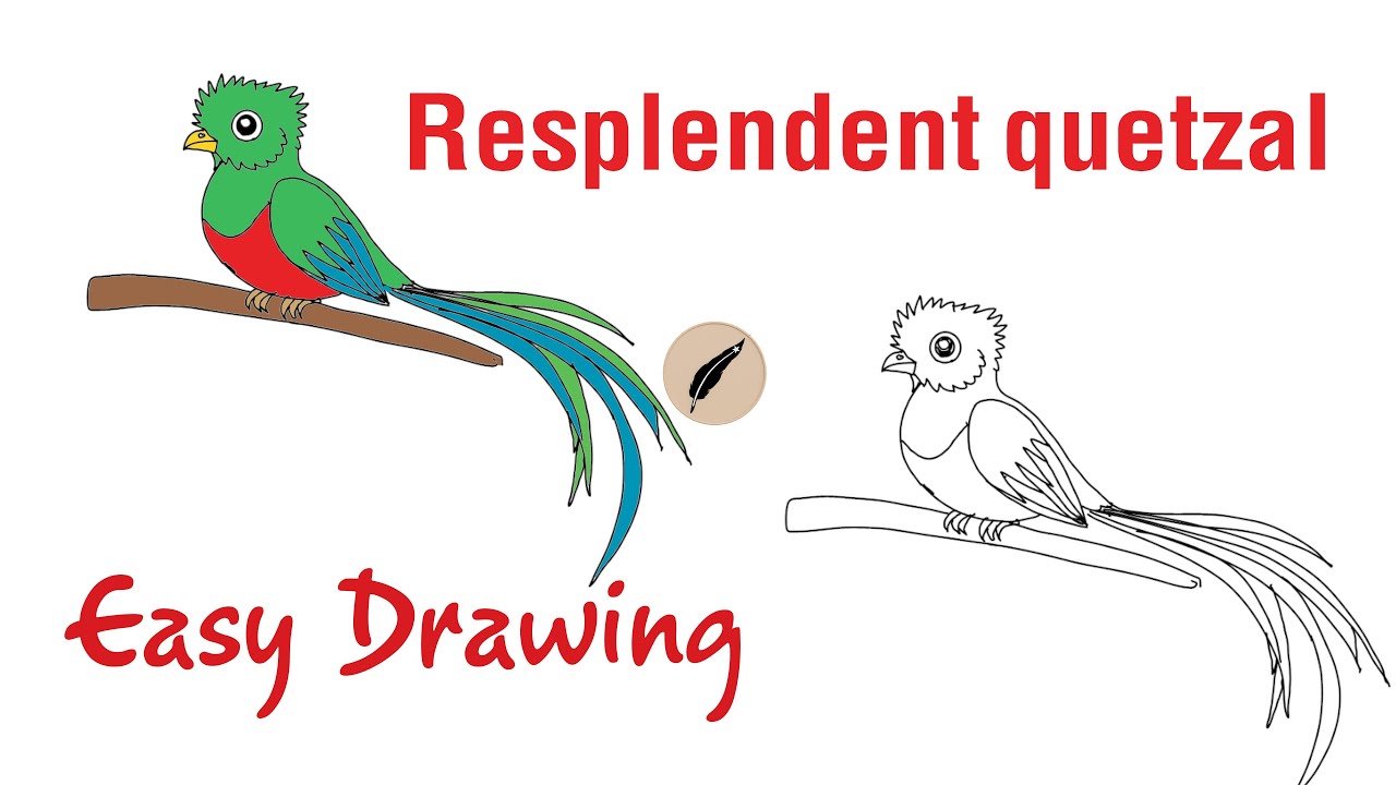 How to Draw a Resplendent Quetzal 🐦  Easy Bird Drawing Tutorial for Kids & Beginners  #lidoartworks