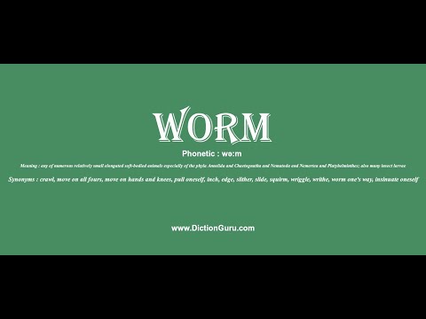 worm: How to pronounce worm with Phonetic and Examples
