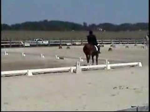 USDF Regional Dressage Test - Josh & Joe