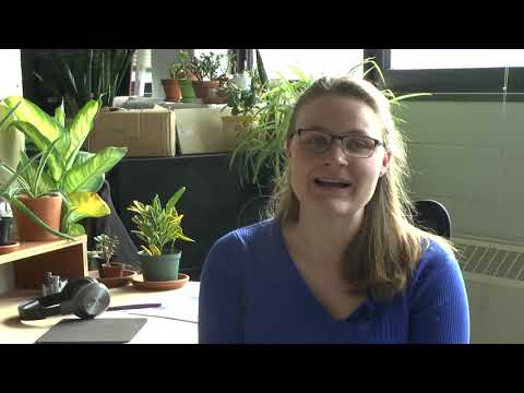 My Major Decision: Shannon Fay - Architecture BArch