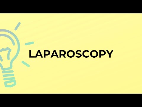 What is the meaning of the word LAPAROSCOPY?