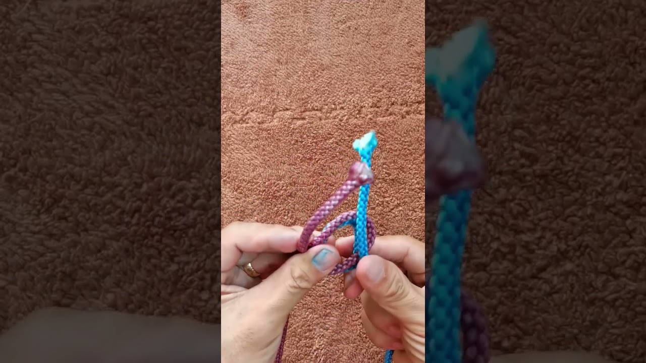 One of the Useful Basic Knot #Knot#rope#Short#knotSkills#Tutorials