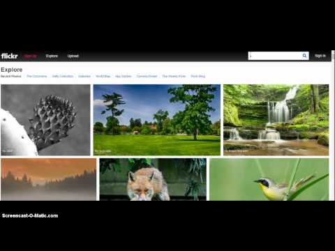 Creative Writing Site