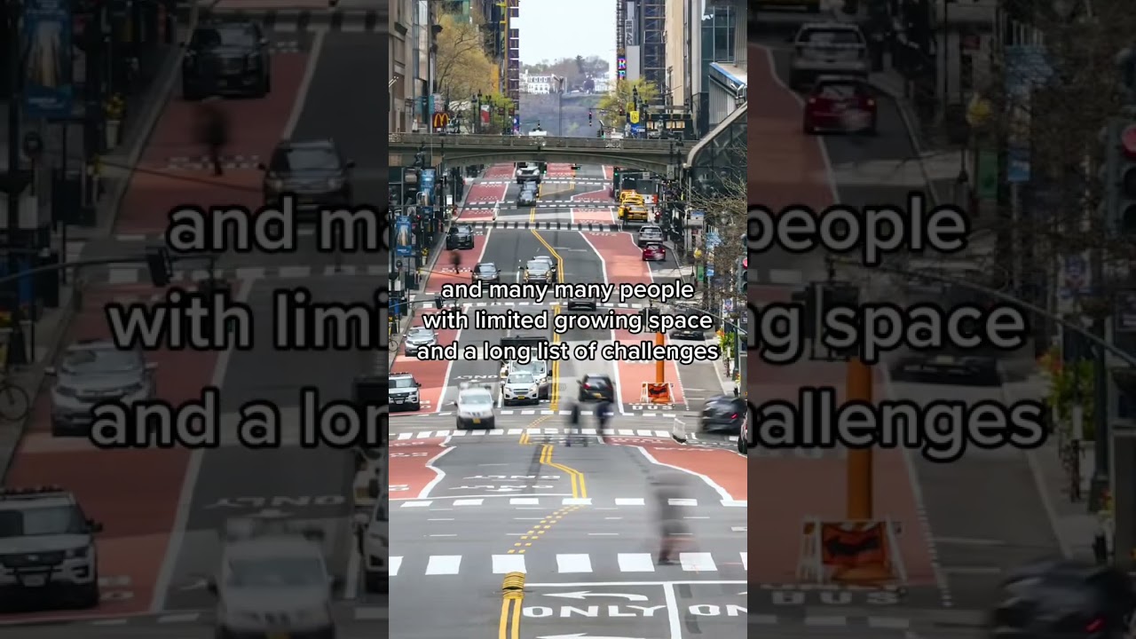 Urban Forestry Explained 🌱 #urban #trees #urbanforestry #reforestation