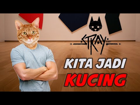 Steam Community :: Video :: STRAY Game Jadi Kucing part 1 Game Story