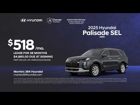 Hyundai Palisade 06/01/2025 5592597