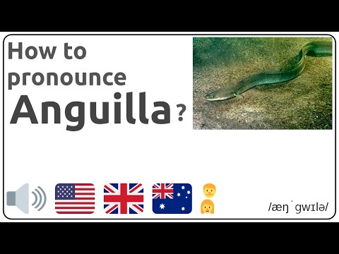 How to pronounce Anguilla in english?