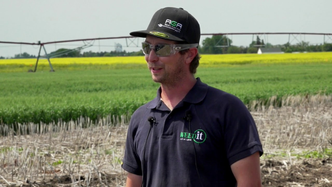 Selective Spraying With WEEDit - WheatStalk 2018