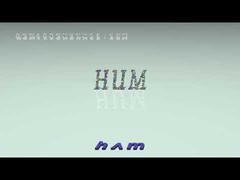 hum - pronunciation + Examples in sentences and phrases