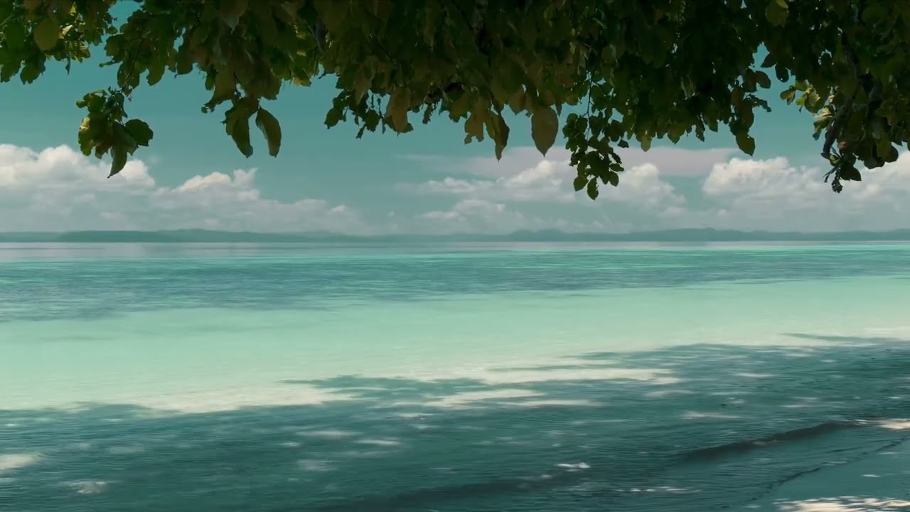 12658147 3840 2160 60fps