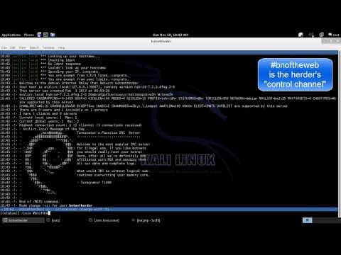 Video Demo #1 (Botnets of the Web - How to Hijack One)