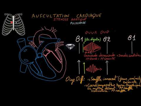 Auscultation cardiaque - Souffles cardiaques/bruits surajoutés/Exercices - Partie 2 Docteur Synapse