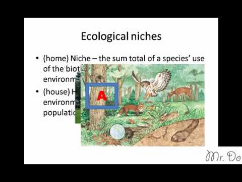 community ecological niche habitat fundamental realized