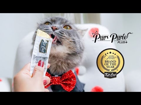 Buy Purr Puree Urinary Care Cat Treat Online | ePETstore