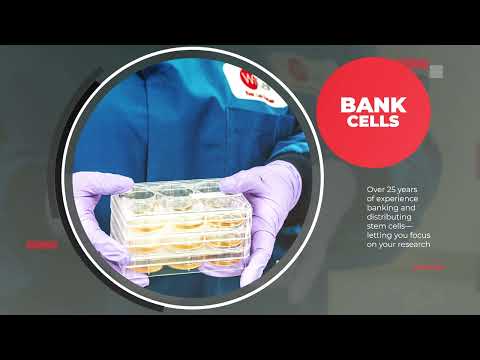 From Bench to Clinic—WICell Powers Your Stem Cell Reseach