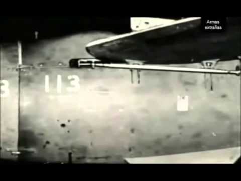 Skinner y el proyecto paloma | Psicologia para todos