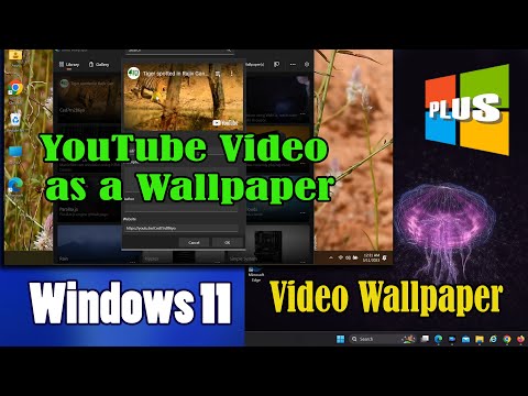 Video as a Live Wallpaper || YouTube Videos as a Wallpaper on Windows 11 || Lively Wallpaper๐