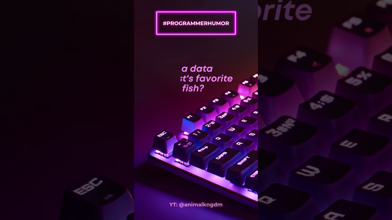 Data Scientist Humor Unleashed, AI-Generated Laughs #017