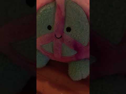 My new bum bumz plush toys