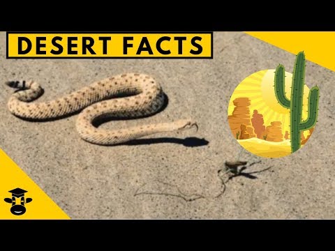 Desert facts