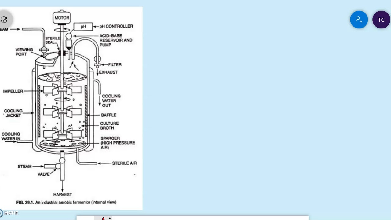 Bioreactor Design part 1